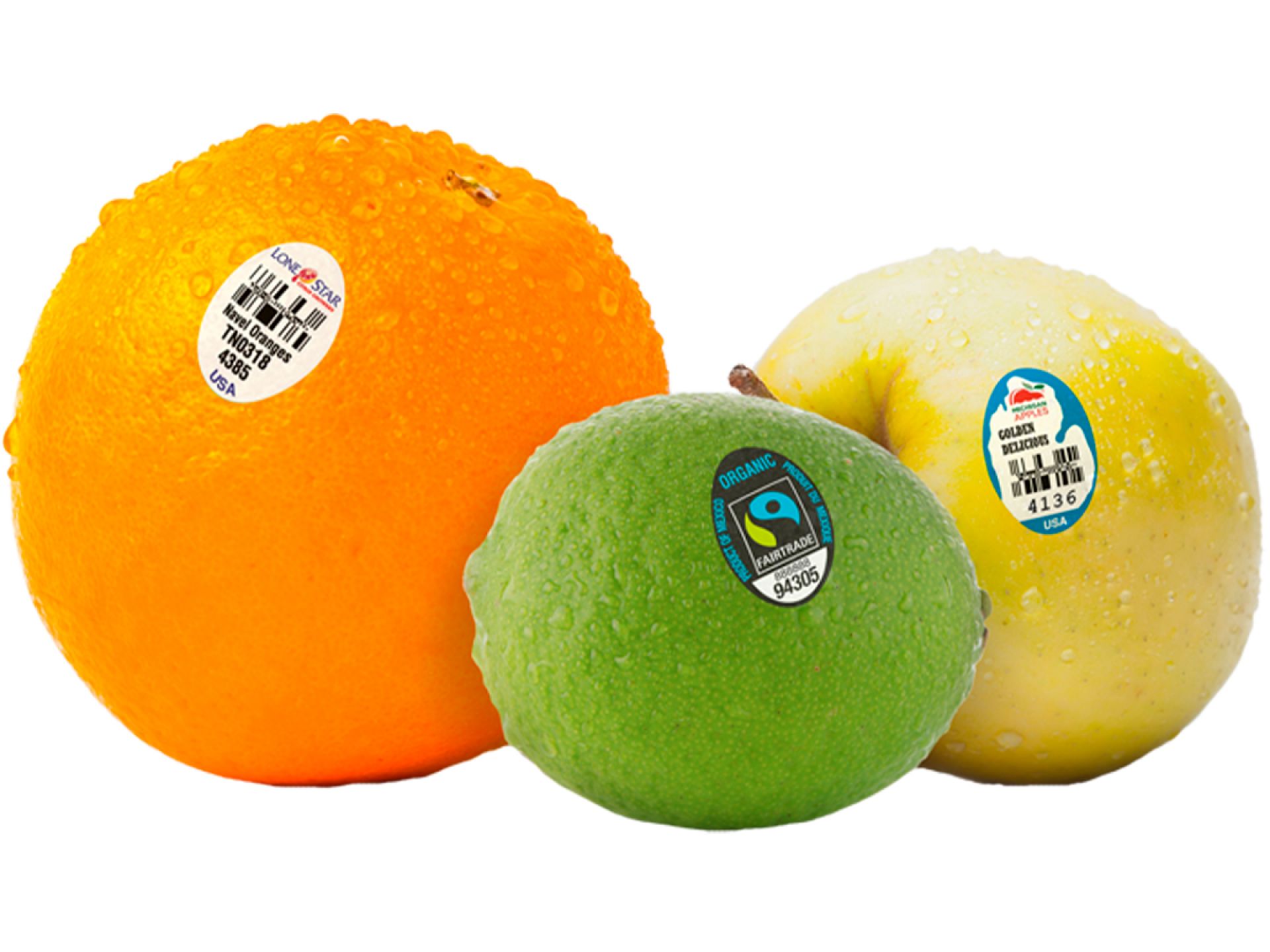 Etiquetas e Rótulos para Frutas, Legumes, Verduras - PROMOM